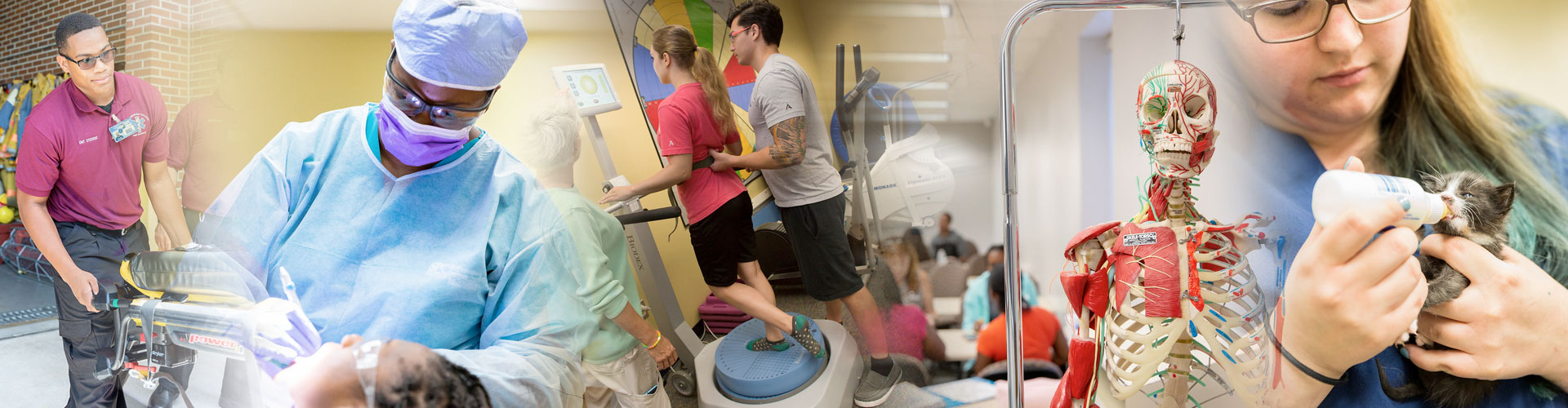 Admission to Health Programs at SPC || St. Petersburg College