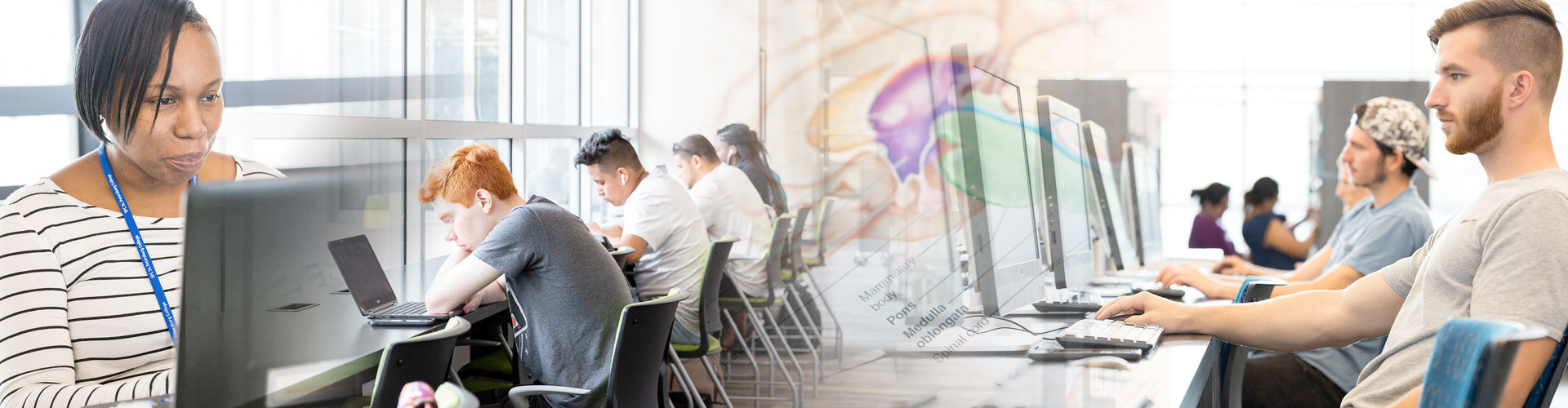 Weekend College at SPC || St. Petersburg College